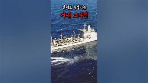 지구상 가장 위험한 심해 생물 미스터리 Youtube