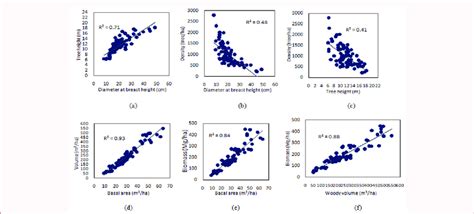 Cross Comparison Between Different Structural Parameters A Tree