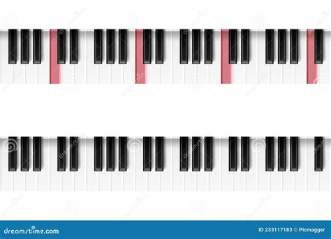 Piano Keys Vector Isolated On White Background Octave Designation