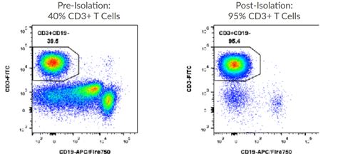 Human T Cell Isolation Kit Bacs™ Microbubbles