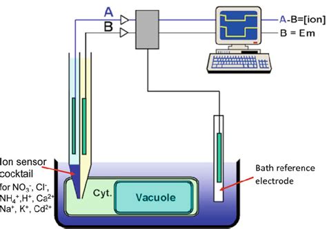 Diagram Showing The Electrical Arrangement For Double Barrelled