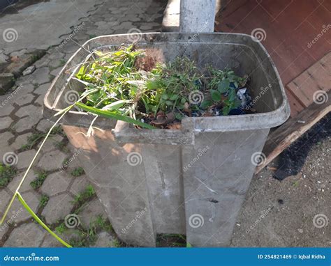 Old Trash Can Full Of Trash And Grass Stock Image Image Of Trash