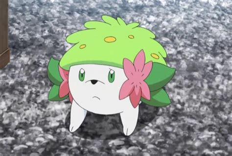 《精灵宝可梦》草系神兽都有哪些？它们的对战实力真的都不强吗？谢米