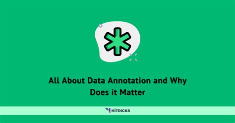 All About Data Annotation And Why Does It Matter HiTricks