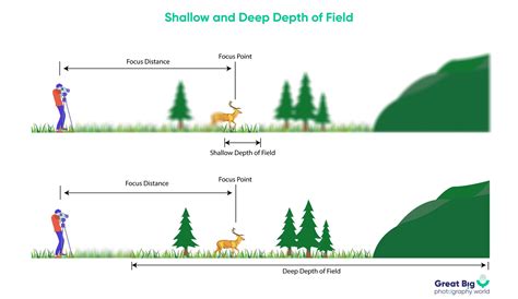 Depth Of Field Chart Field Of View And Depth Of Field According To The