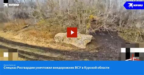 Спецназ Росгвардии уничтожил внедорожник ВСУ в Курской области Kp Ru