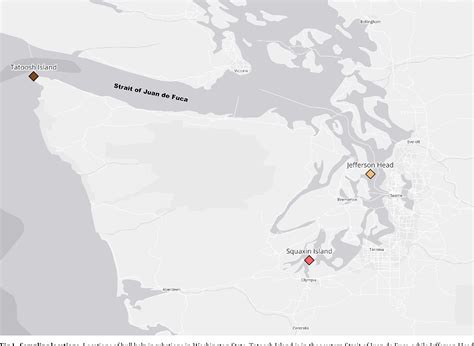 Figure 1 From Ammonification By Kelp Associated Microbes Increases