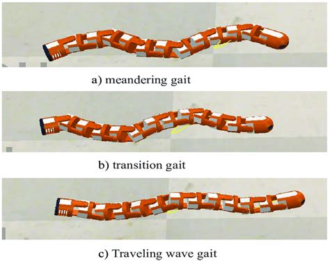 The Gait Switching Download Scientific Diagram