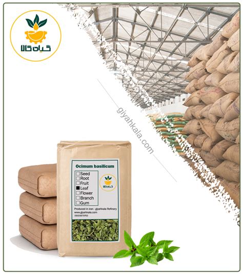 قیمت، خرید و فروش برگ ریحان خشک فله ضد میکروبی
