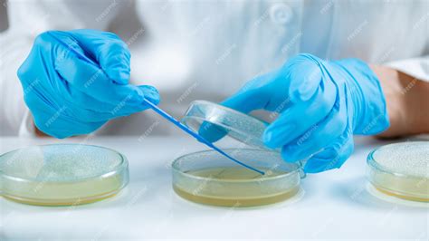 Premium Photo Microbiology Researcher Working In A Laboratory Using