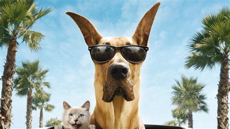 Marmaduke Film 2010 Tom Dey Captain Watch