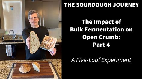 The Impact Of Bulk Fermentation On Open Crumb Part 4 Findings Youtube