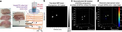 Figure 4 From A Magnetic Particle Imaging Approach For Minimally