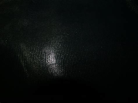 山羊反绒蜥蜴纹8 天立皮业有限公司