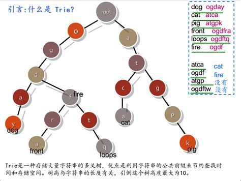 字典树基础进阶全掌握Trie树 字典树后缀自动机AC自动机 骆孑不掉线 博客园