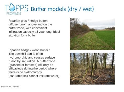 Ppt Buffer Models Dry Wet Riparian Gras Hedge Buffer Diffuse