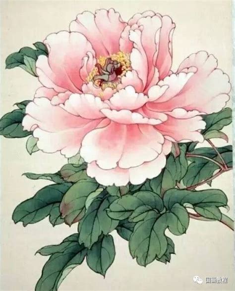 工笔画自学步骤入门工笔画自学临摹工笔画自学白描第2页大山谷图库
