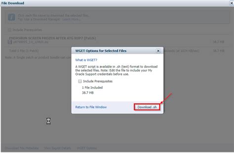 Using Wget To Download Softwarepatches From Oracle Support