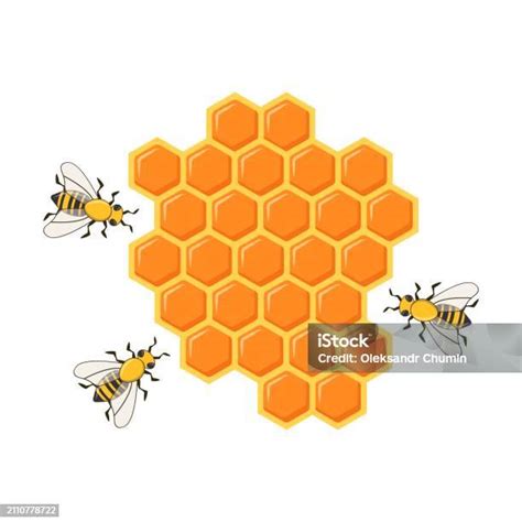 벌집 꿀 기호 라벨과 꿀벌 만화 고립 흰색 배경 벡터 일러스트 0명에 대한 스톡 벡터 아트 및 기타 이미지 0명 1위 감방 Istock