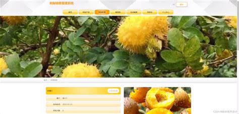 刺梨销售管理系统源码开题 Csdn博客