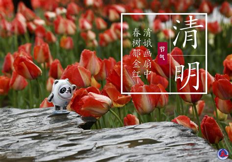 新华全媒 冰墩墩打卡二十四节气清明 张晨