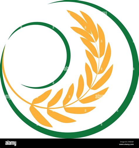 Ear Of Paddy Rice Isolated On White Background Icon Vector
