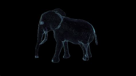 코끼리 홀로그램 와이어 프레임입니다 검은 색 배경에 좋은 3d 렌더링 3차원 형태에 대한 스톡 사진 및 기타 이미지 3차원