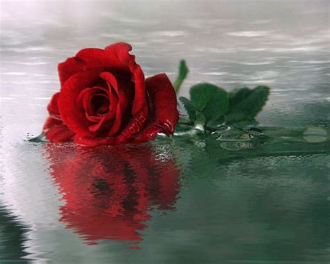 Фото Девушка в соломенной шляпке на фоне моря