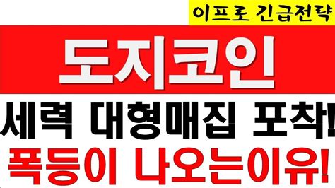 도지코인 세력 대형 매집 포착 폭등이 나오는 이유 도지코인 리플 세이 수이 펠라즈 트럼프코인 수이 시바이누 폴리매쉬 비트코인 Youtube