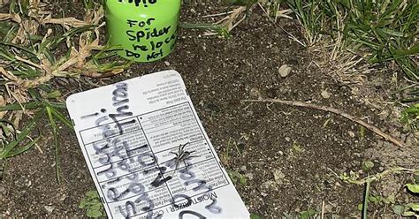 Spider Relocation Kit Spider Is A Model For Advertising Purposes Not