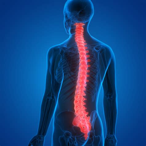 What Is It Hypertonicity Disorder Holistic Health On The Go