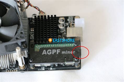 Algorithm Odocrypt Now Supported By FPGA Miner AGPF SK