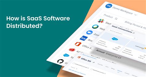 How Is Saas Software Distributed Binadox
