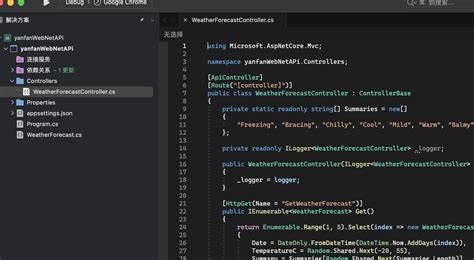 Net8 Webapi 创建（傻瓜式入门） 鹿 博客园