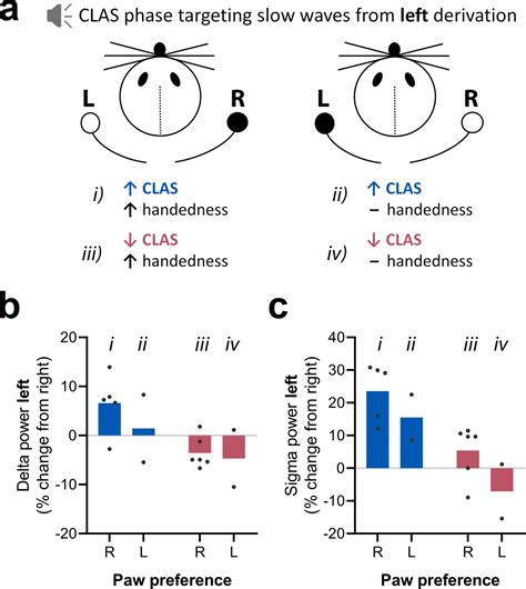 Figures And Data In Closed Loop Auditory Stimulation Method To Modulate Sleep Slow Waves And