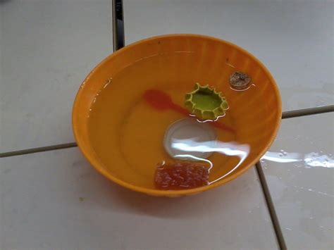 Proyecto Agua Flotabilidad