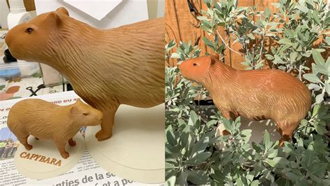 3d принтер Flashforge Adventurer 4 Pro купить в Москве Санкт Петербурге цена доставка