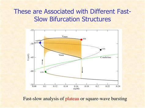 Ppt Modelling Electrical Activity In Physiological Systems 2012 Powerpoint Presentation Id