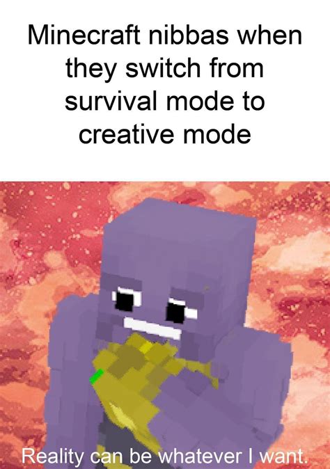 Does Anyone Still Play Minecraft R Thanosdidnothingwrong