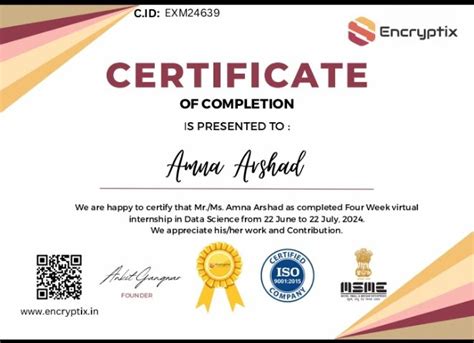 Amna Arshad On Linkedin Datascience Internship Learningjourney Encryptix