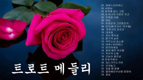 중년들이 좋아하는 트로트메들리 24곡 하루 종일 들어도 좋은 노래 24곡모음 연속재생 트로트메들리모음 술술 넘어가는 트로트메들리 Youtube