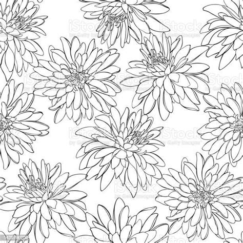 흰색에 꽃이있는 완벽한 벡터 패턴 루드베키아 골든 볼 꽃 배경 흑백 라인 아트 벽지 포장 직물 및 섬유에 적합합니다 국화에 대한 스톡 벡터 아트 및 기타 이미지 Istock