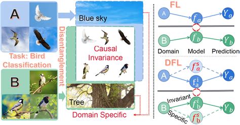 Taking Bird Classification As An Example To Illustrate The Principle Of