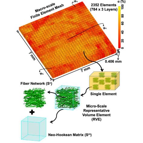 Schematic Diagram Showing The Arrangement Of The Multiscale Finite