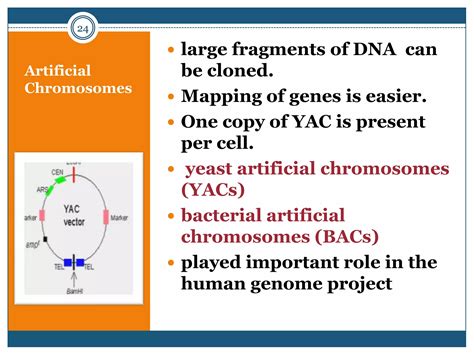 Genetic Engineering And Recombinant Dna Technology Pptx Biotech And