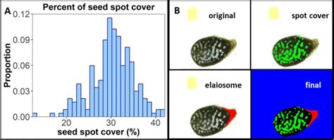 A Histogram Of The Percent Of Seed Spot Cover The Histogram Download Scientific Diagram