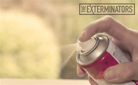 How Can Black Light Help Me Spot Bed Bugs Exterminatorhamilton Ca