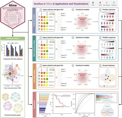 Mime A Flexible Machine Learning Framework To Construct And Visualize Models For Clinical