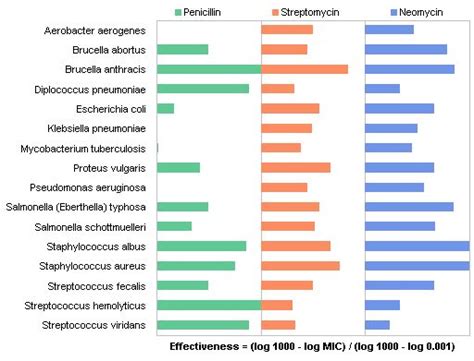 Pseudomonas Aeruginosa Klebsiella Pneumoniae Penicillin