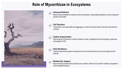 Top 10 Ecosystem Structure Ppt Templates With Samples And Examples